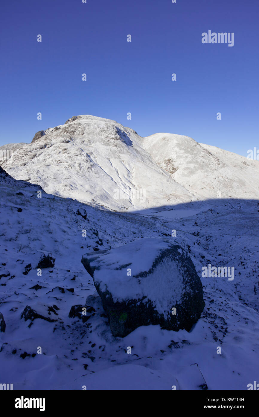 Sty head hi-res stock photography and images - Alamy