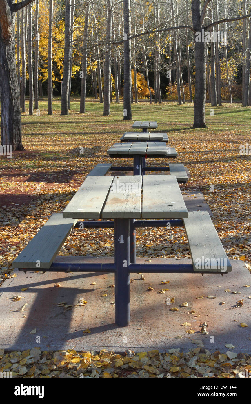 Autumn colours and park benches and picnic tables in the park Stock ...