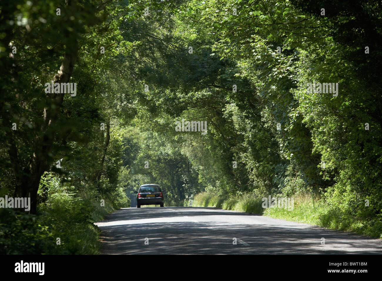 Country road uk hi-res stock photography and images - Alamy
