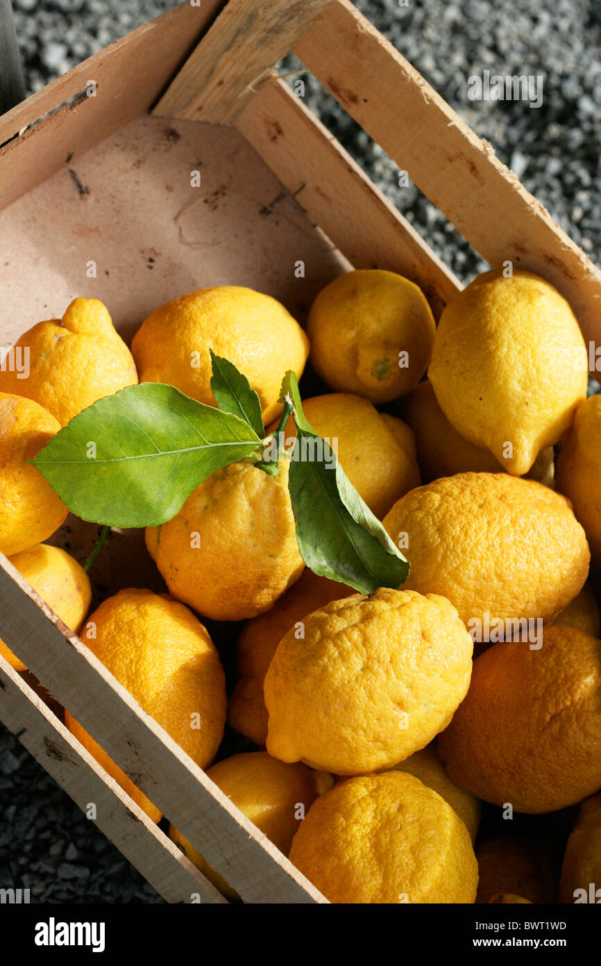 Lemons in a crate Stock Photo - Alamy