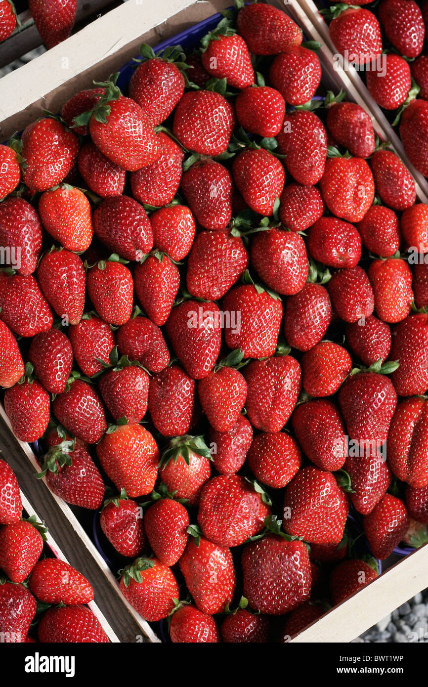 Berry crate hi-res stock photography and images - Alamy