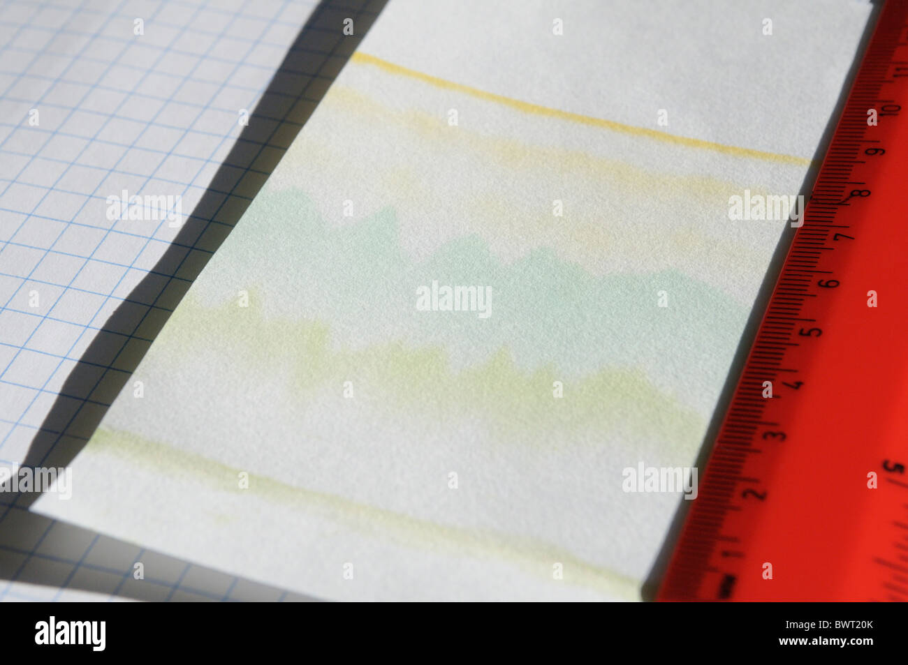 Photosynthetic pigments from a leaf resulting from paper chromatography ...