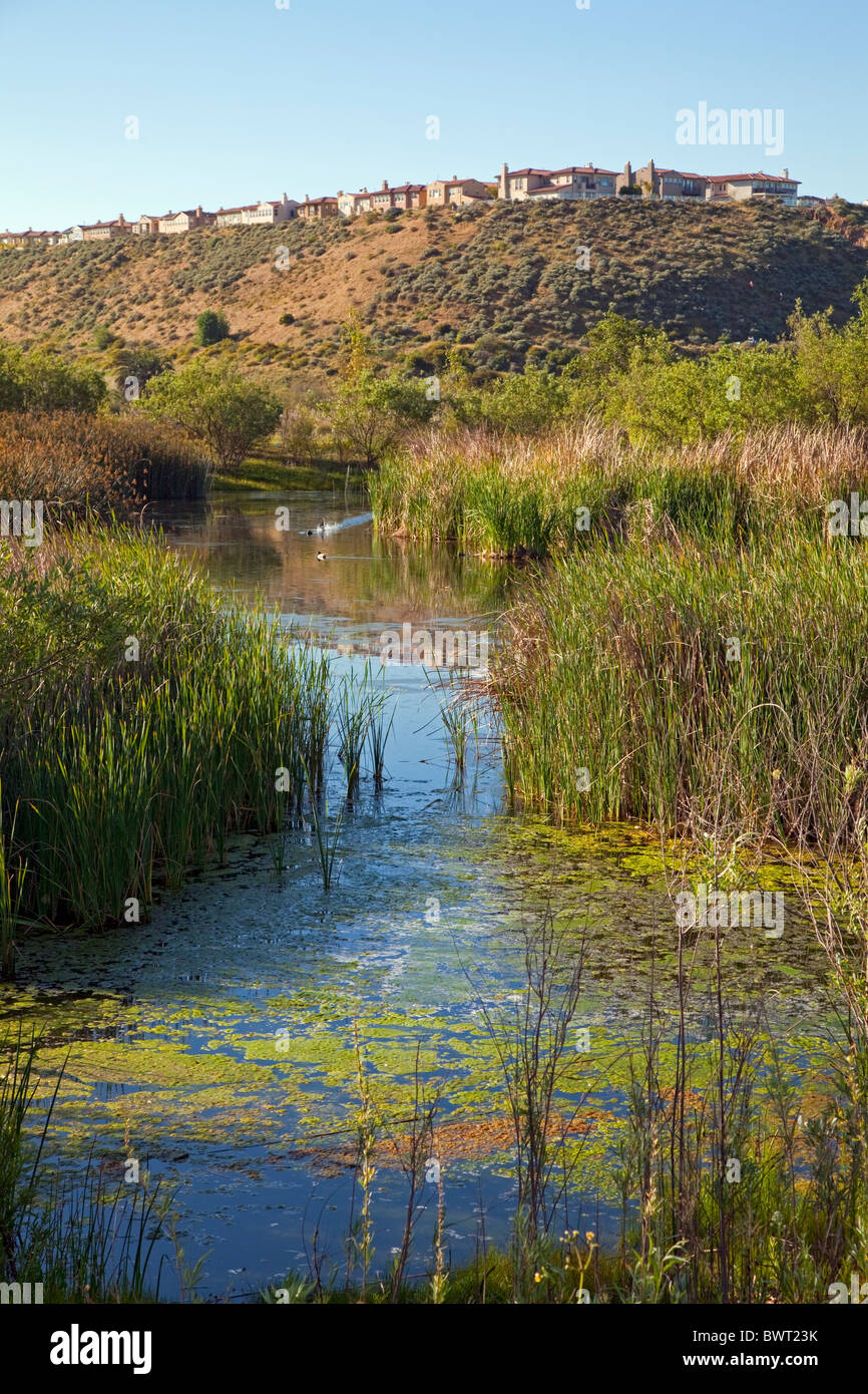 The Ballona Wetlands is a protected area near Marina Del Rey and Playa ...