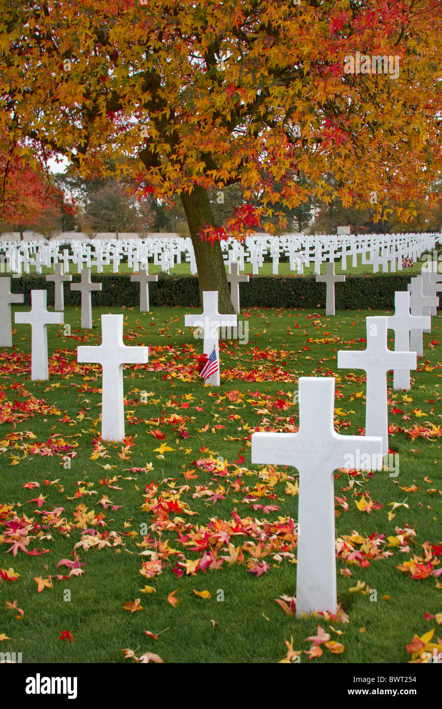 Fallen Autumn leaves surround memorials at Madingley American Cemetery ...