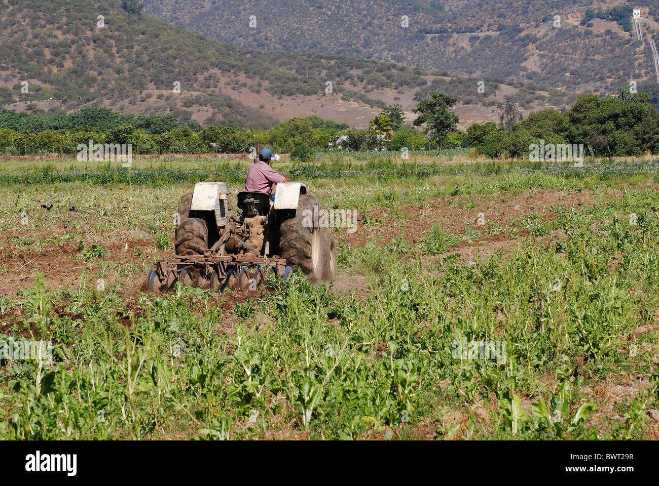 Ground plough hi-res stock photography and images - Alamy