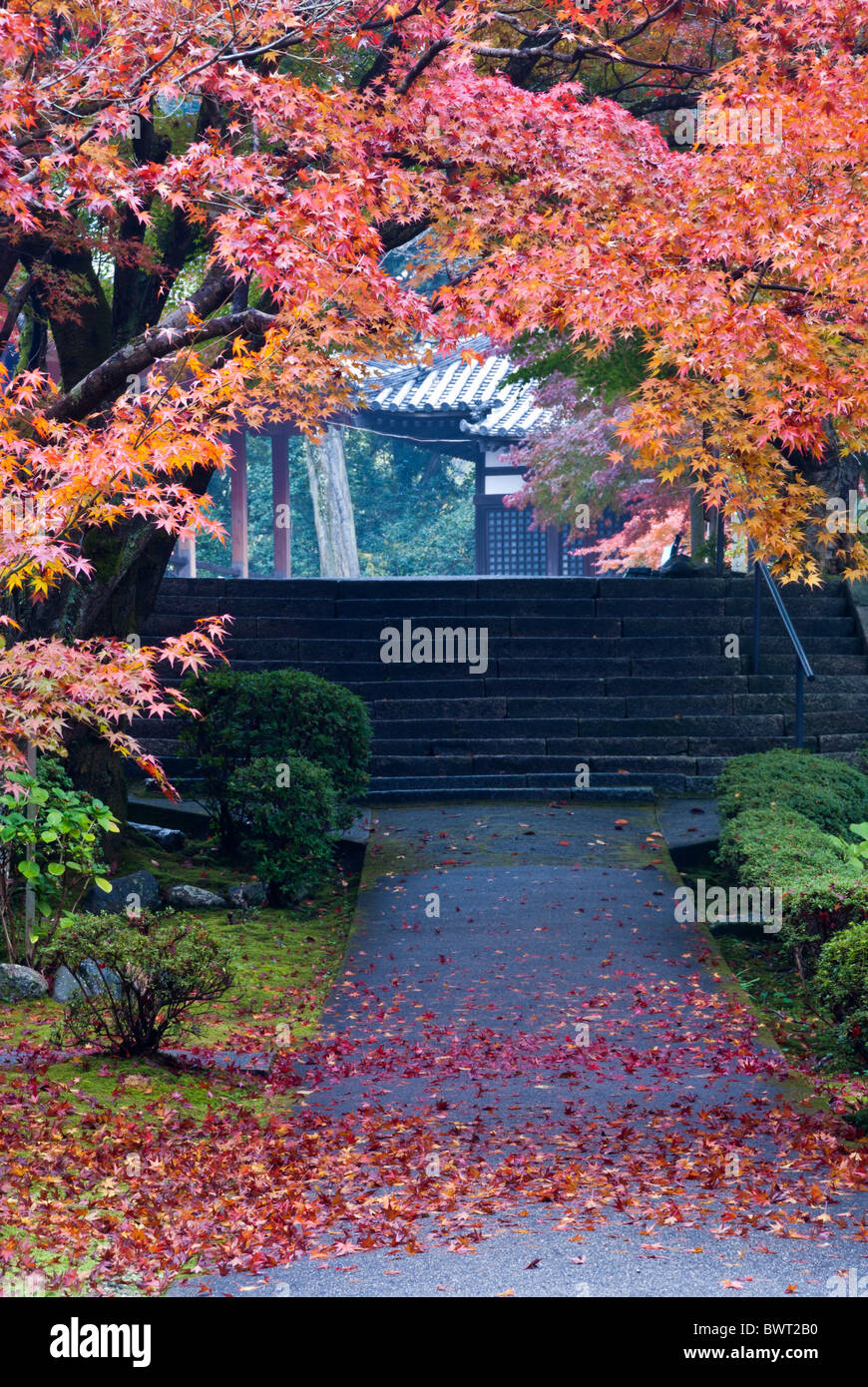 A walkway leading to steps at a Japanese temple surrounded by colorful ...