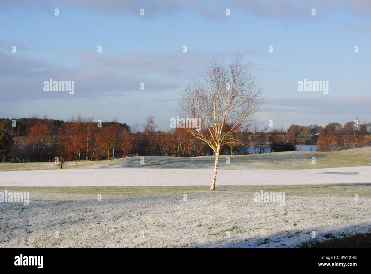 winter on a golf course Stock Photo - Alamy