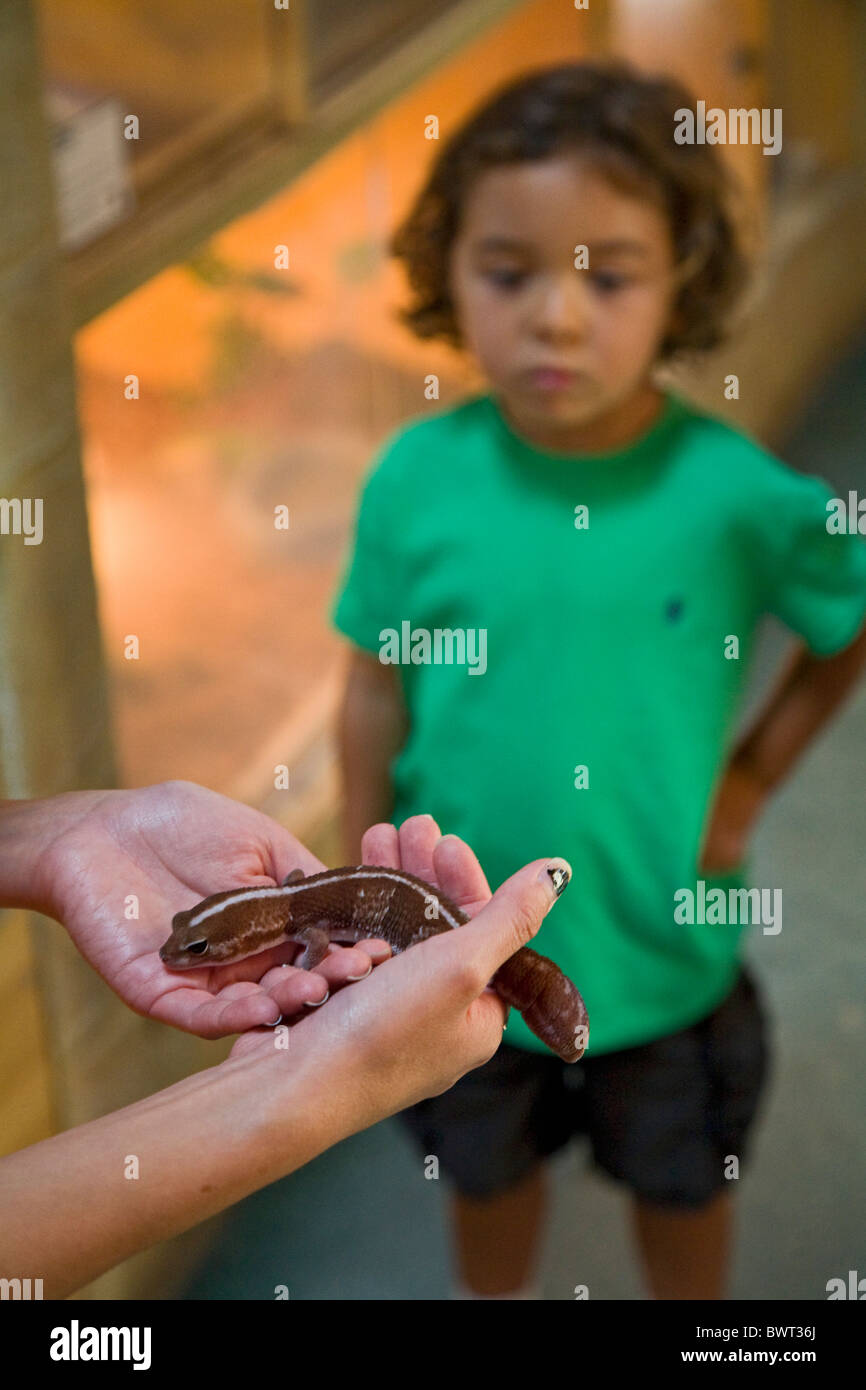 LA Eco Station is an environmental education and exotic wildlife rescue ...