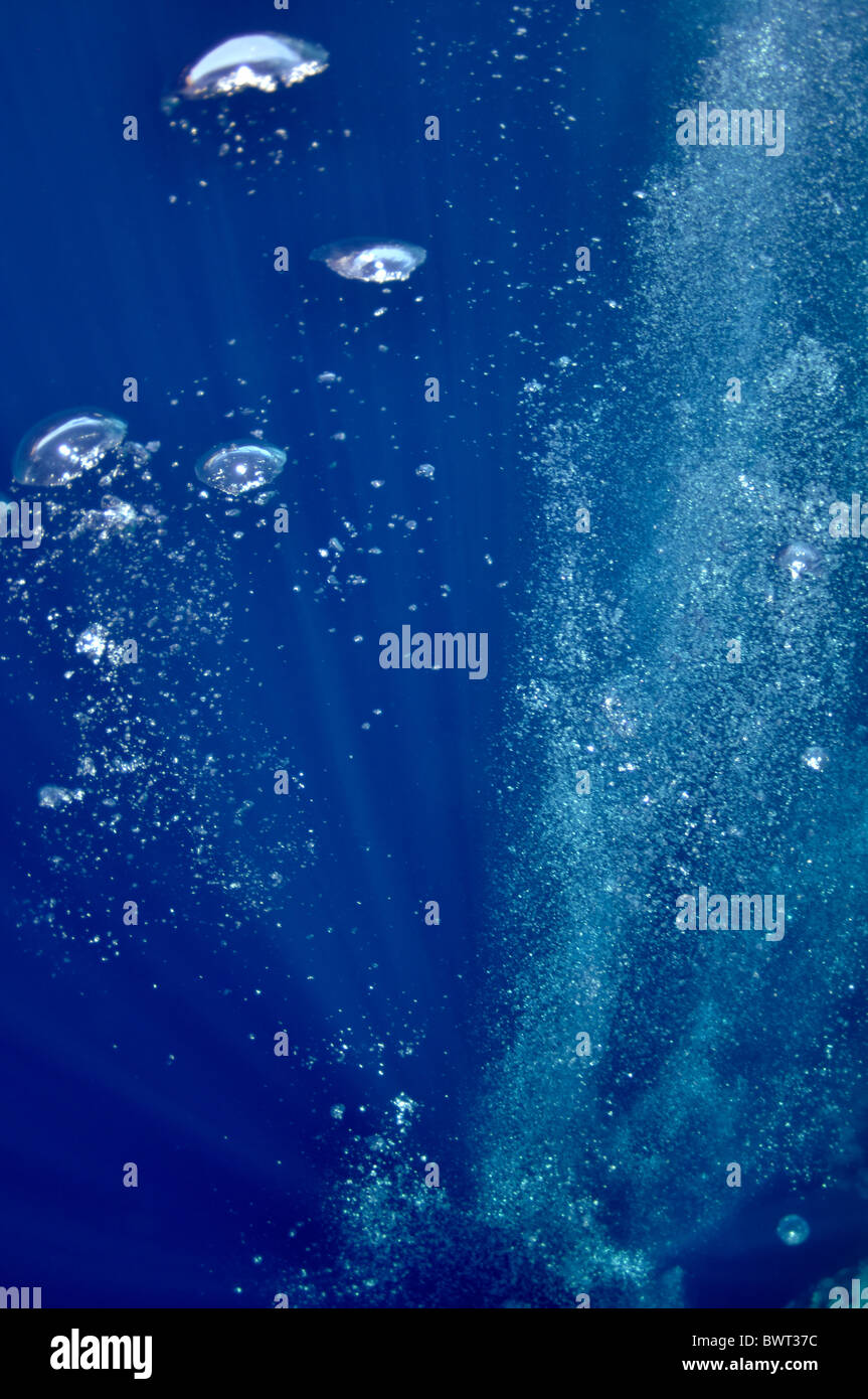The picture shows underwater bubbles which raise from the depth of blue ...