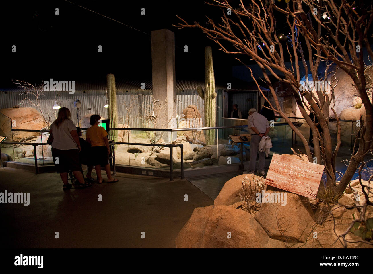 Ecosystems Exhibit California Science Center Stock Photos & Ecosystems ...