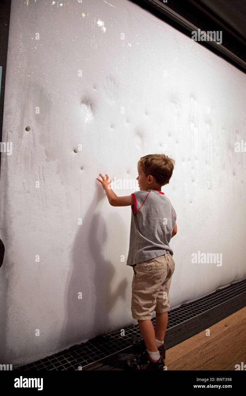 Extreme Zone Gallery at the Ecosystems Exhibit at the California ...