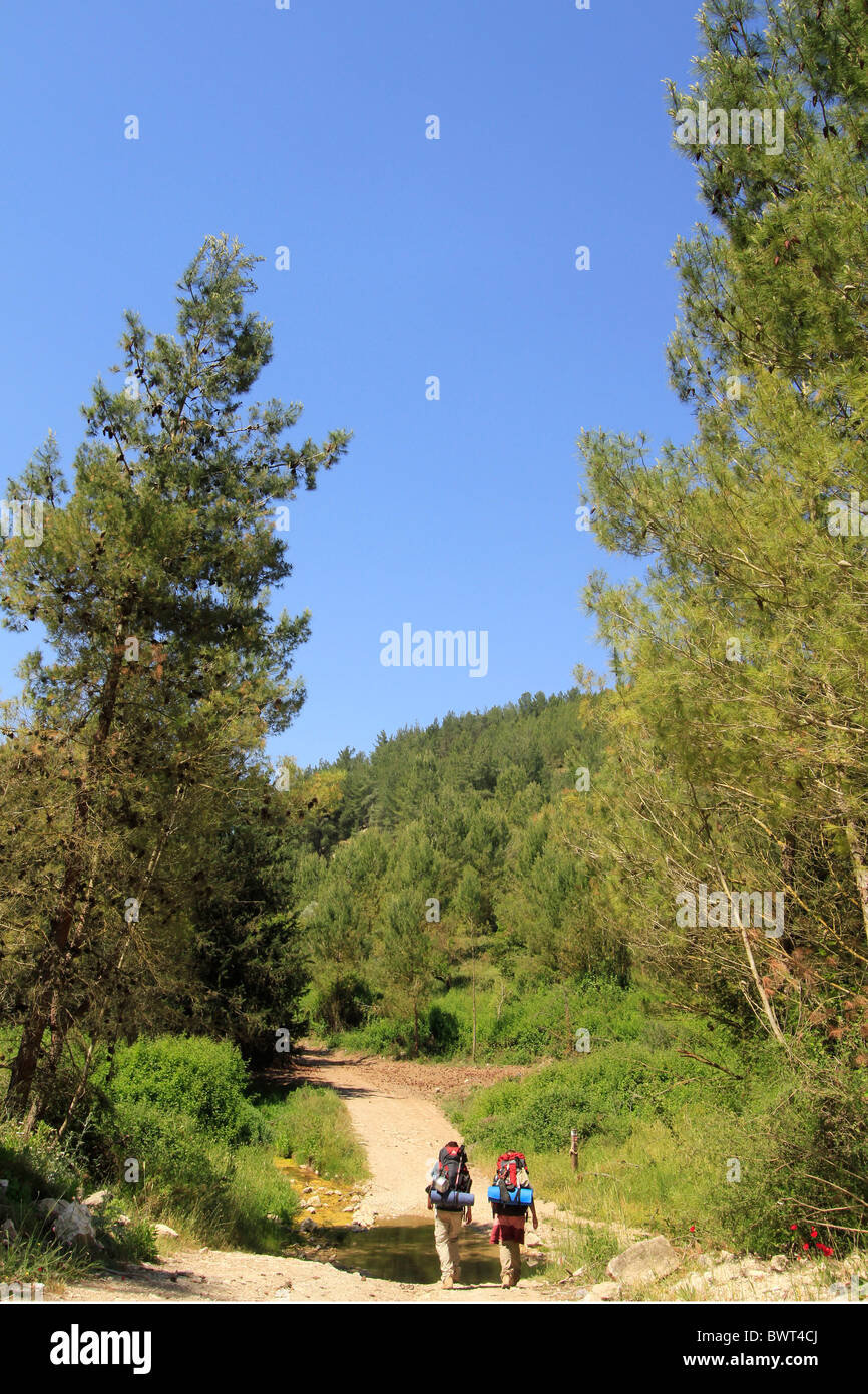Israel, Upper Galilee, hiking the Israel Trail in Wadi Dishon Stock ...
