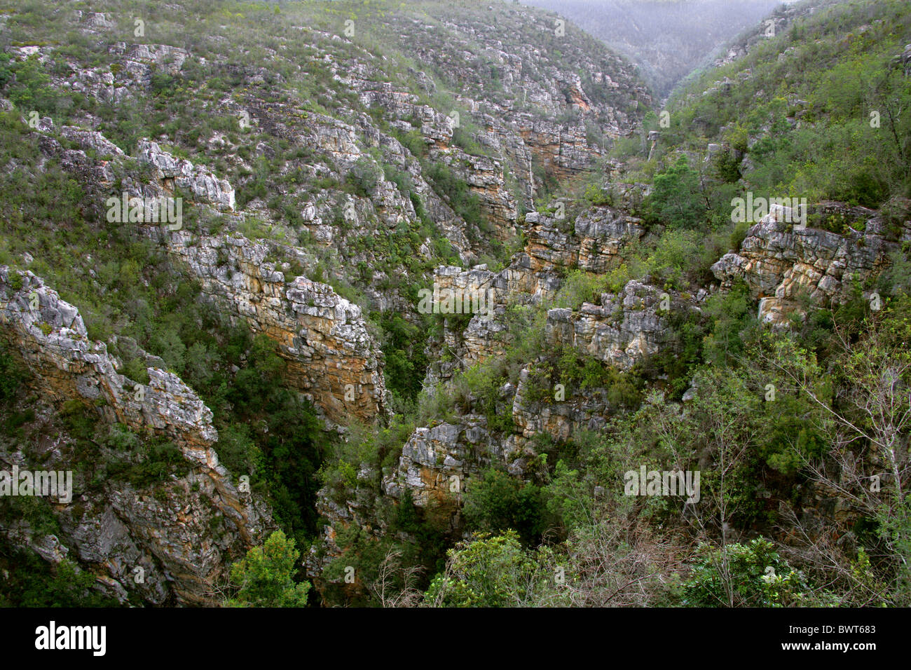 Bloukrans River Gorge from the Bloukrans Bridge, Tsitsikamma, South ...