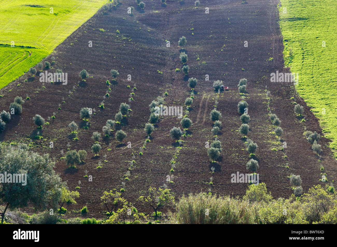 Malaga landscape countryside spring hi-res stock photography and images ...