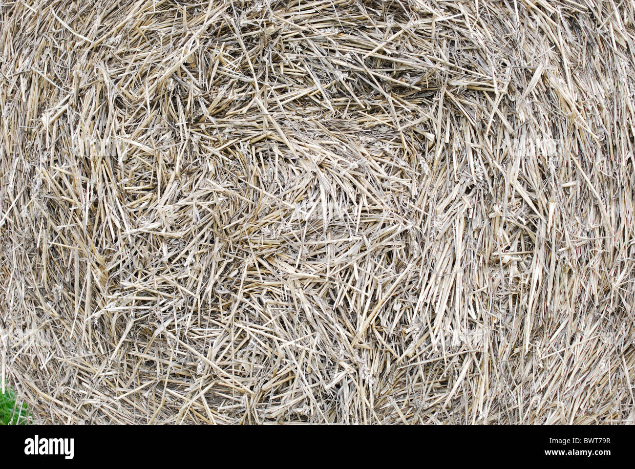 Hay bale background hi-res stock photography and images - Alamy