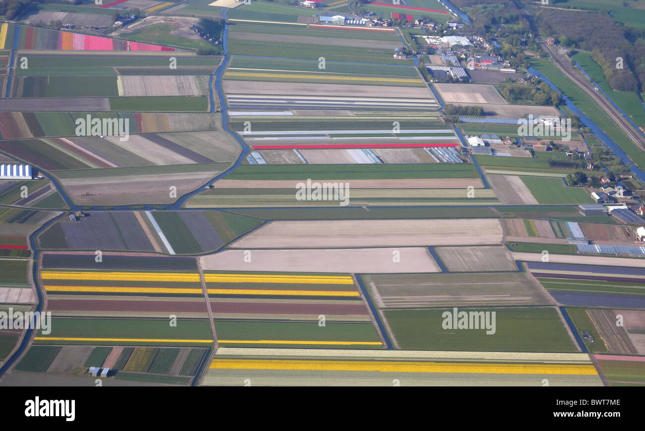 Aerial view flower fields near Amsterdam Stock Photo - Alamy