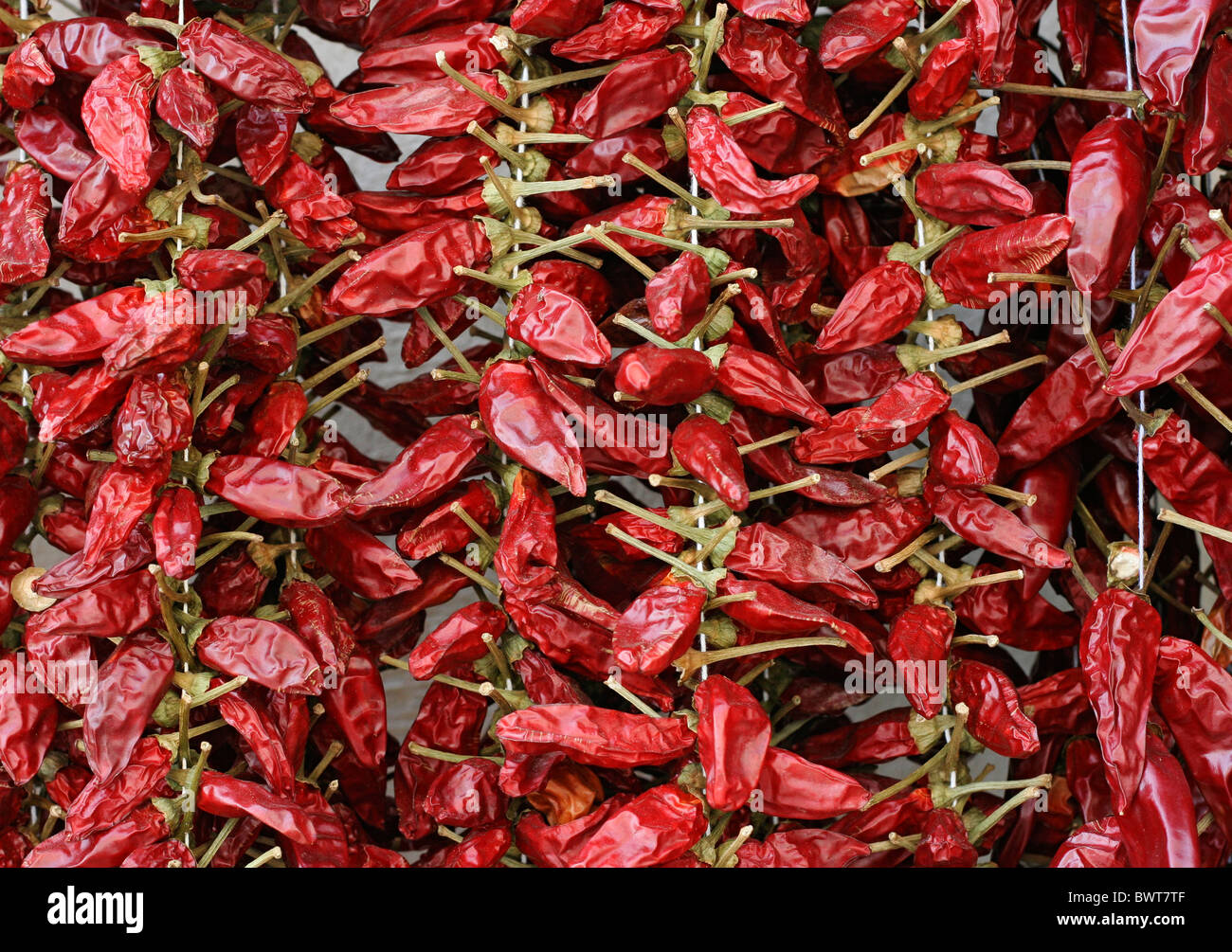 Chilli dried hi-res stock photography and images - Alamy