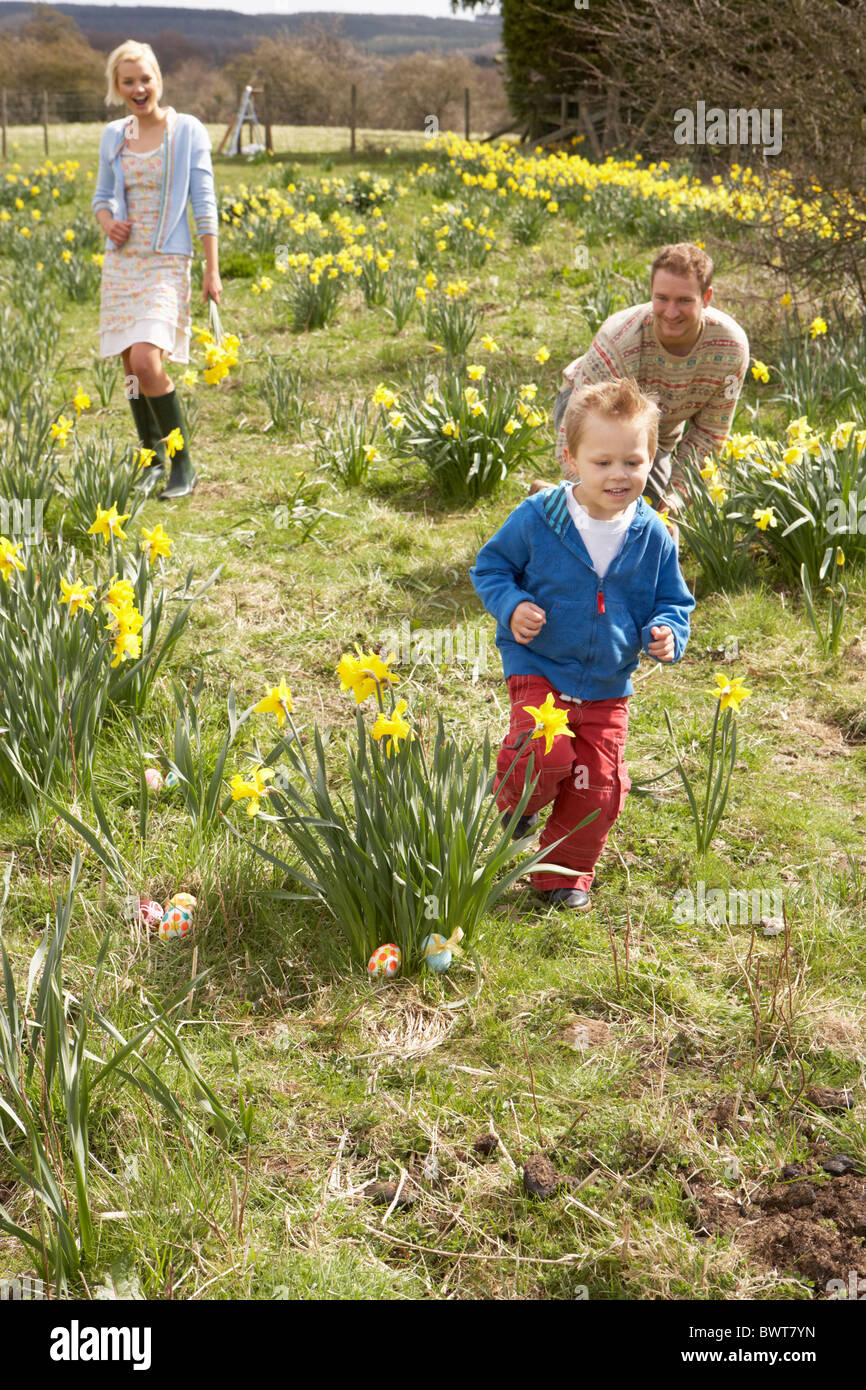 Family On Easter Egg Hunt In Daffodil Field Stock Photo - Alamy