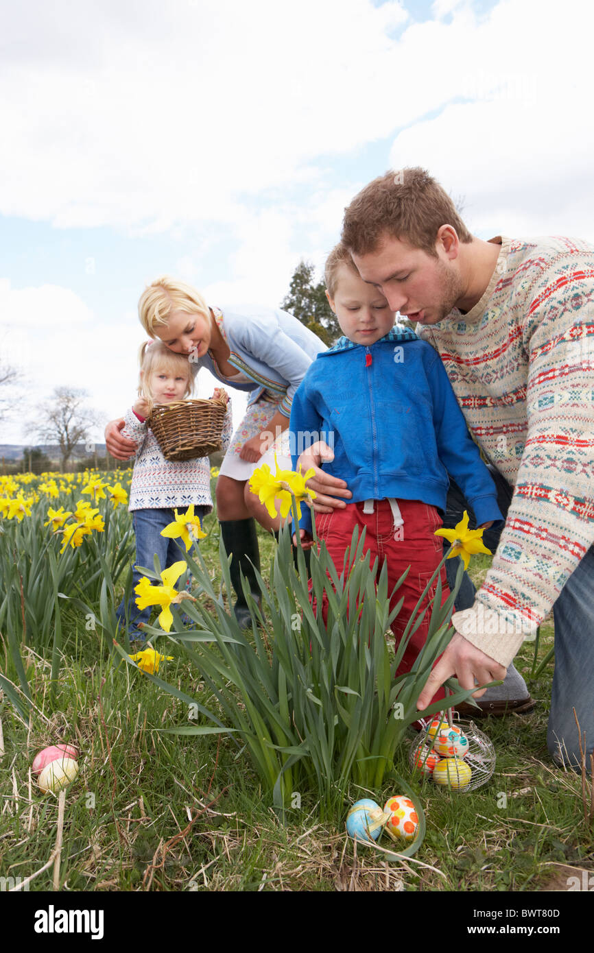 Family On Easter Egg Hunt In Daffodil Field Stock Photo - Alamy