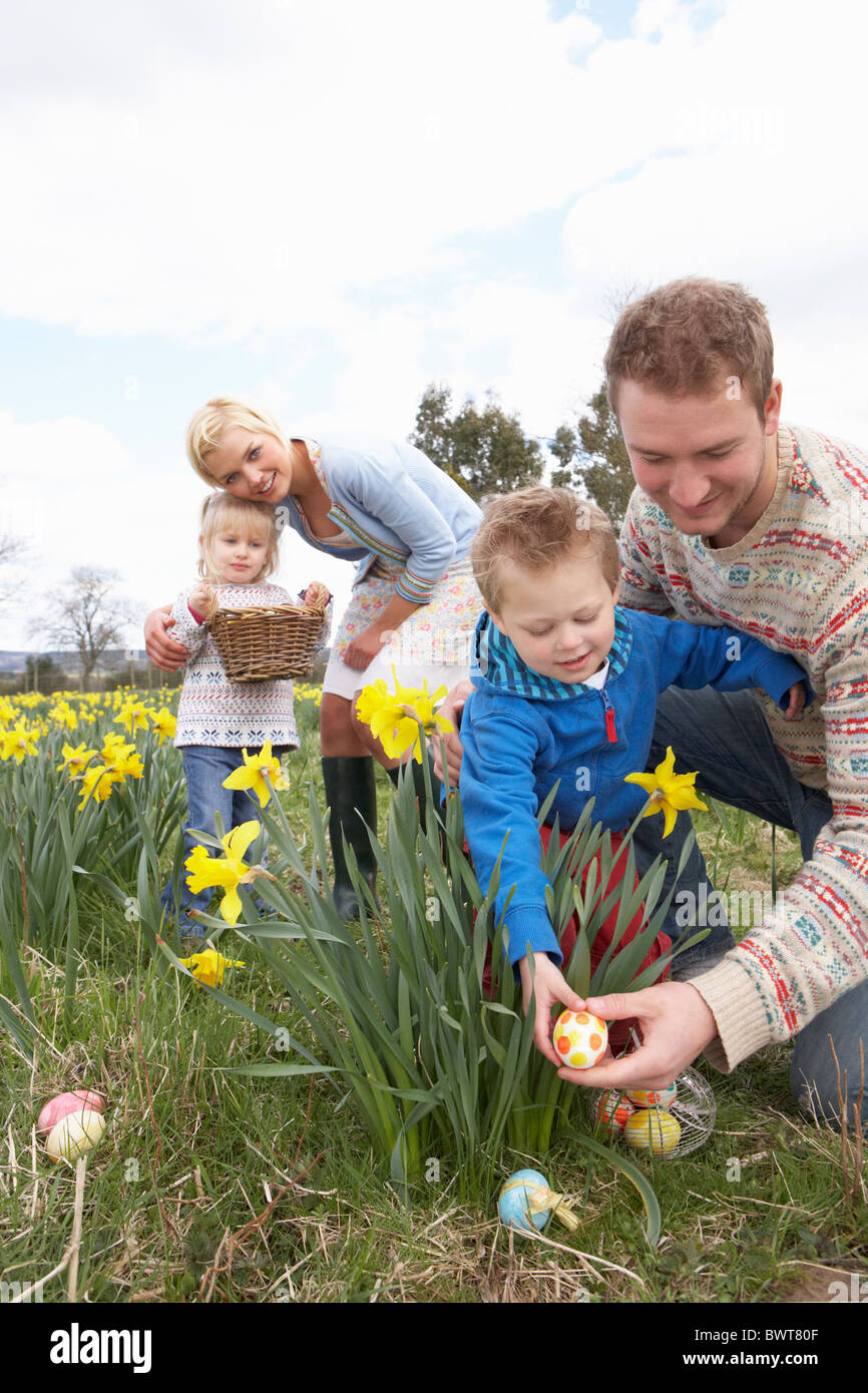 Family On Easter Egg Hunt In Daffodil Field Stock Photo - Alamy