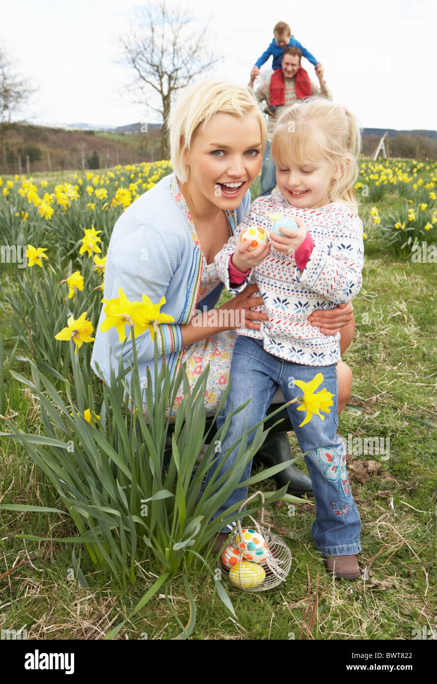 Family On Easter Egg Hunt In Daffodil Field Stock Photo - Alamy