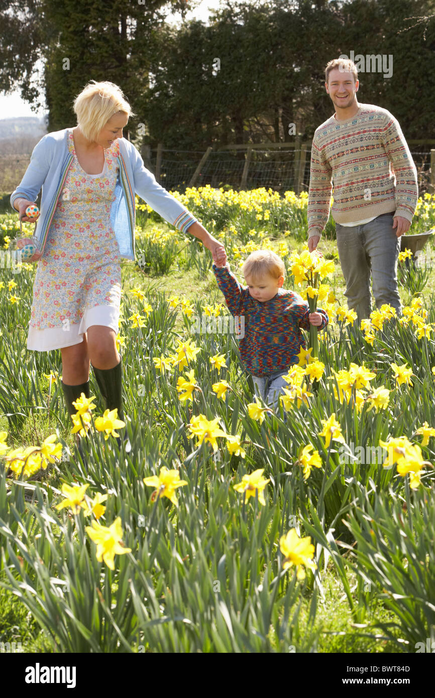 Young Family Walking Amongst Spring Daffodils Stock Photo - Alamy