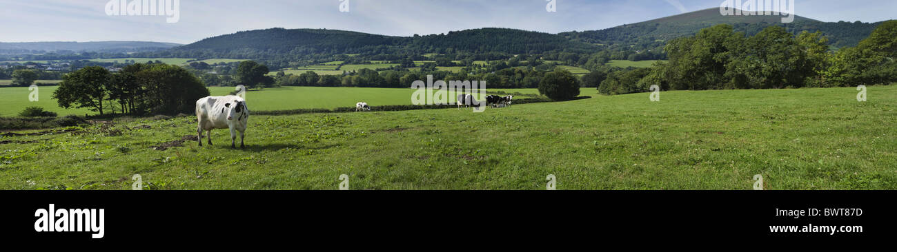 Panoramic view of a Welsh farm near Abergavenny Stock Photo - Alamy