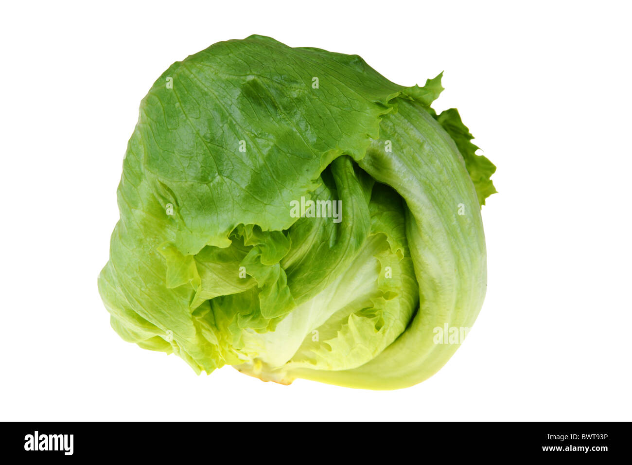 Green fresh iceberg isolated on white background Stock Photo - Alamy