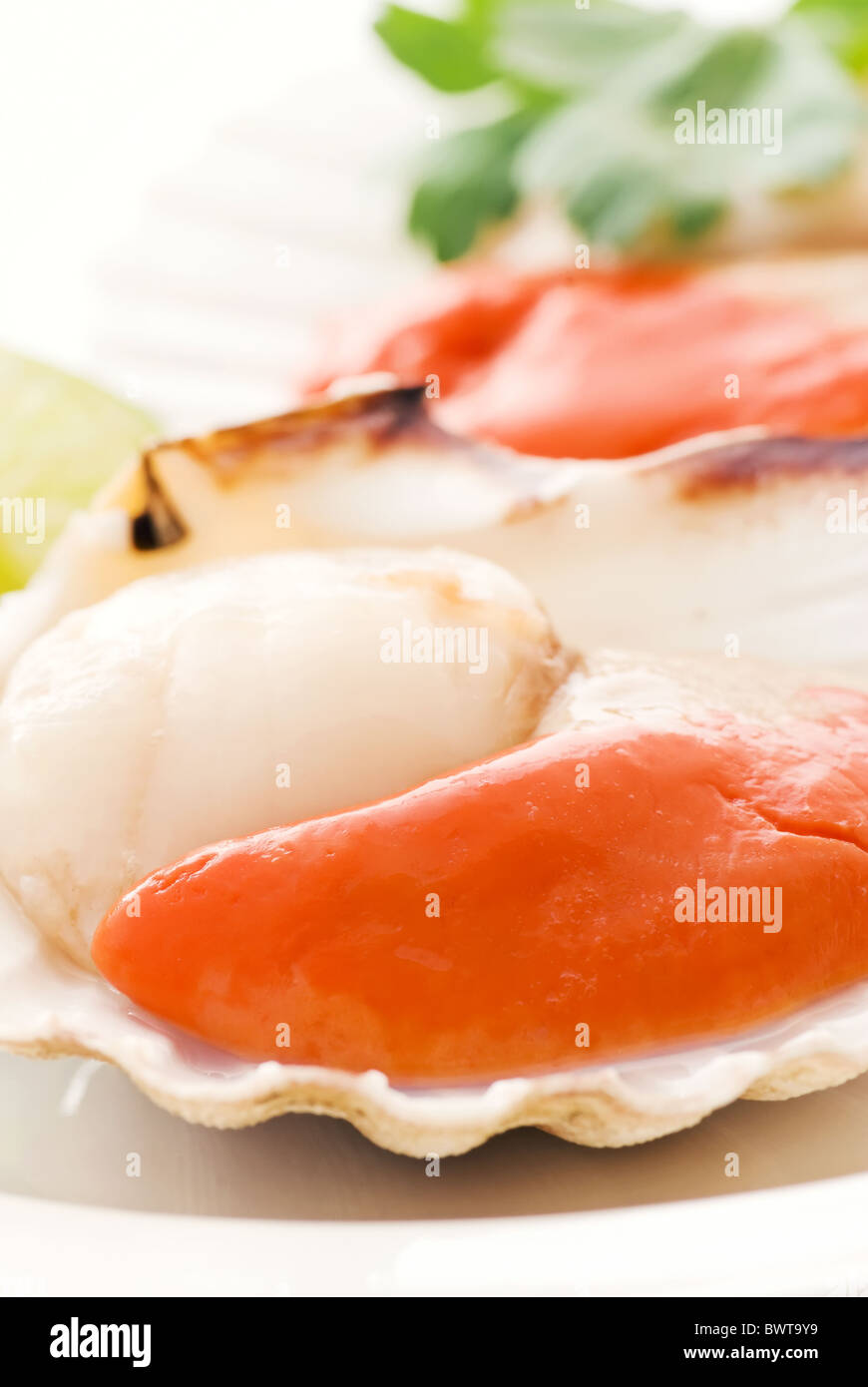 Muscle shell hi-res stock photography and images - Alamy