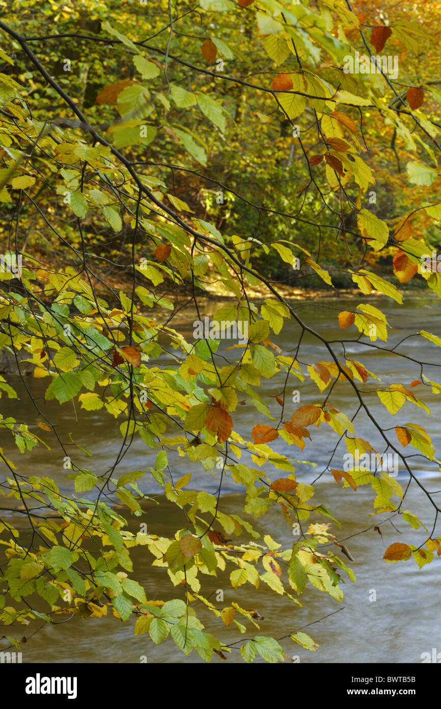 environment environmental powys wales britain british nature natural ...