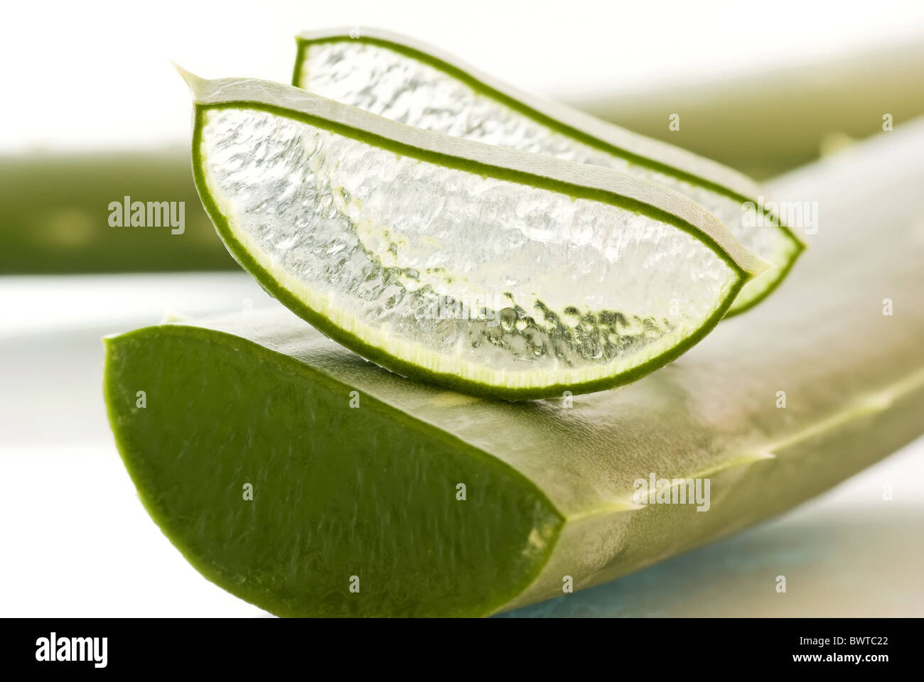 Aloe leaves with cut aloe slice as closeup on white background Stock ...