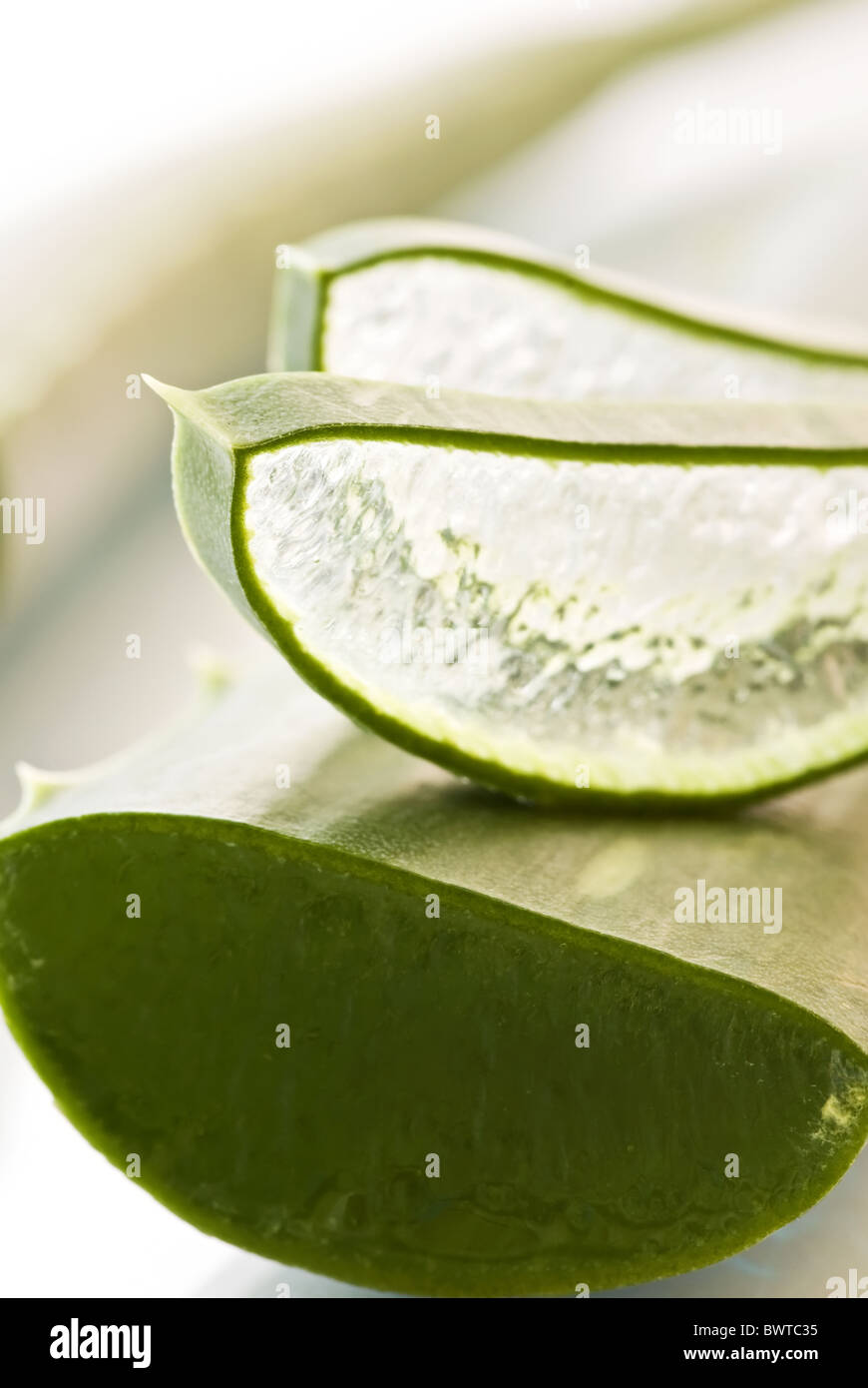 Aloe leaves with cut aloe slice as closeup on white background Stock ...