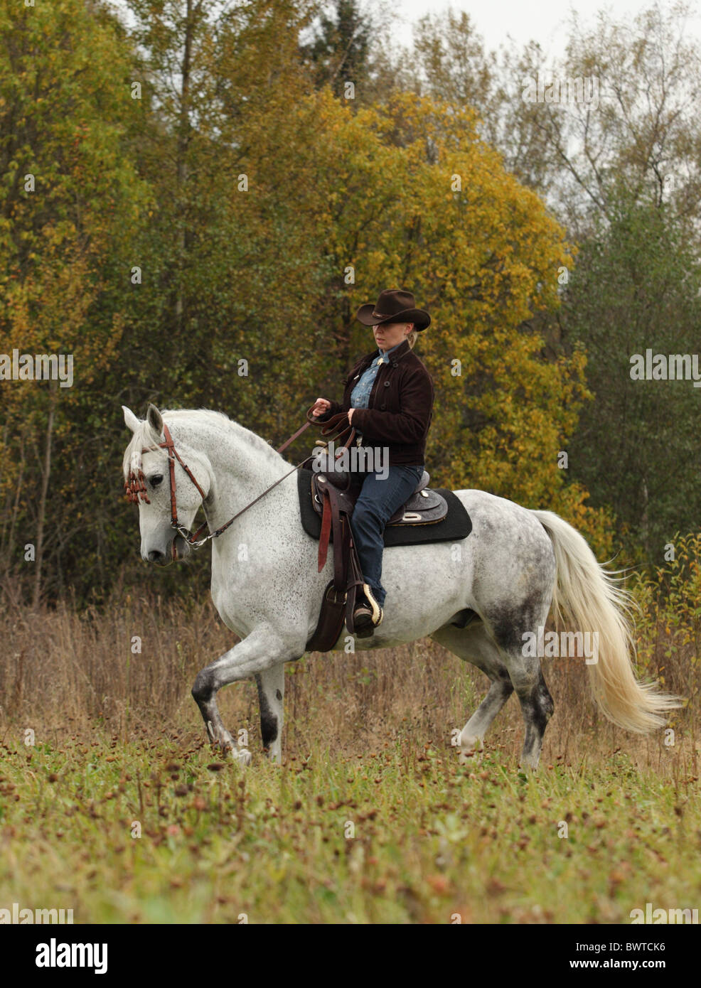 Women riding on horseback Stock Photo - Alamy