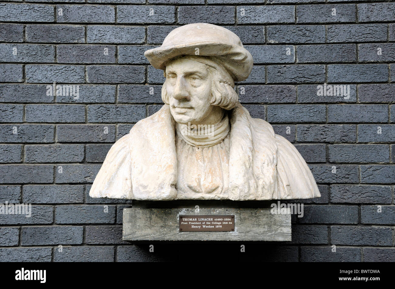 Statue or bust of Thomas Linacre first president of the Royal College ...