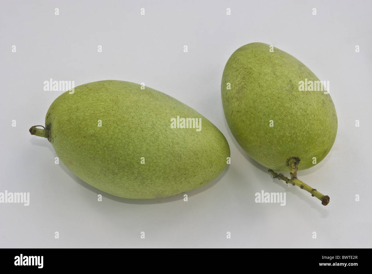 Ambu Mangot Mangue Manguier Keri Mangga Carabao Mango Mango Mangifera ...