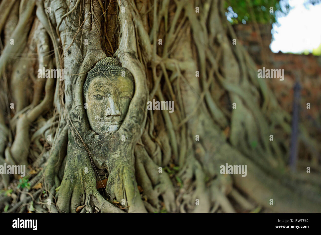 Wat Mahathat - Ayutthaya Stock Photo - Alamy Wat Mahathat - Ayutthaya Stock Photo - Alamy