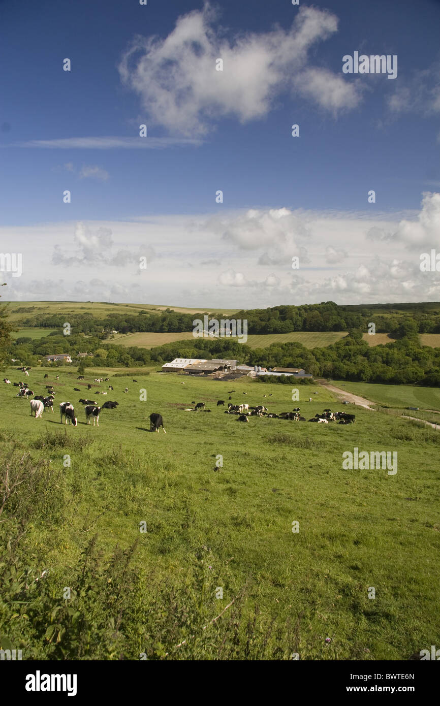 British diary farm hi-res stock photography and images - Alamy