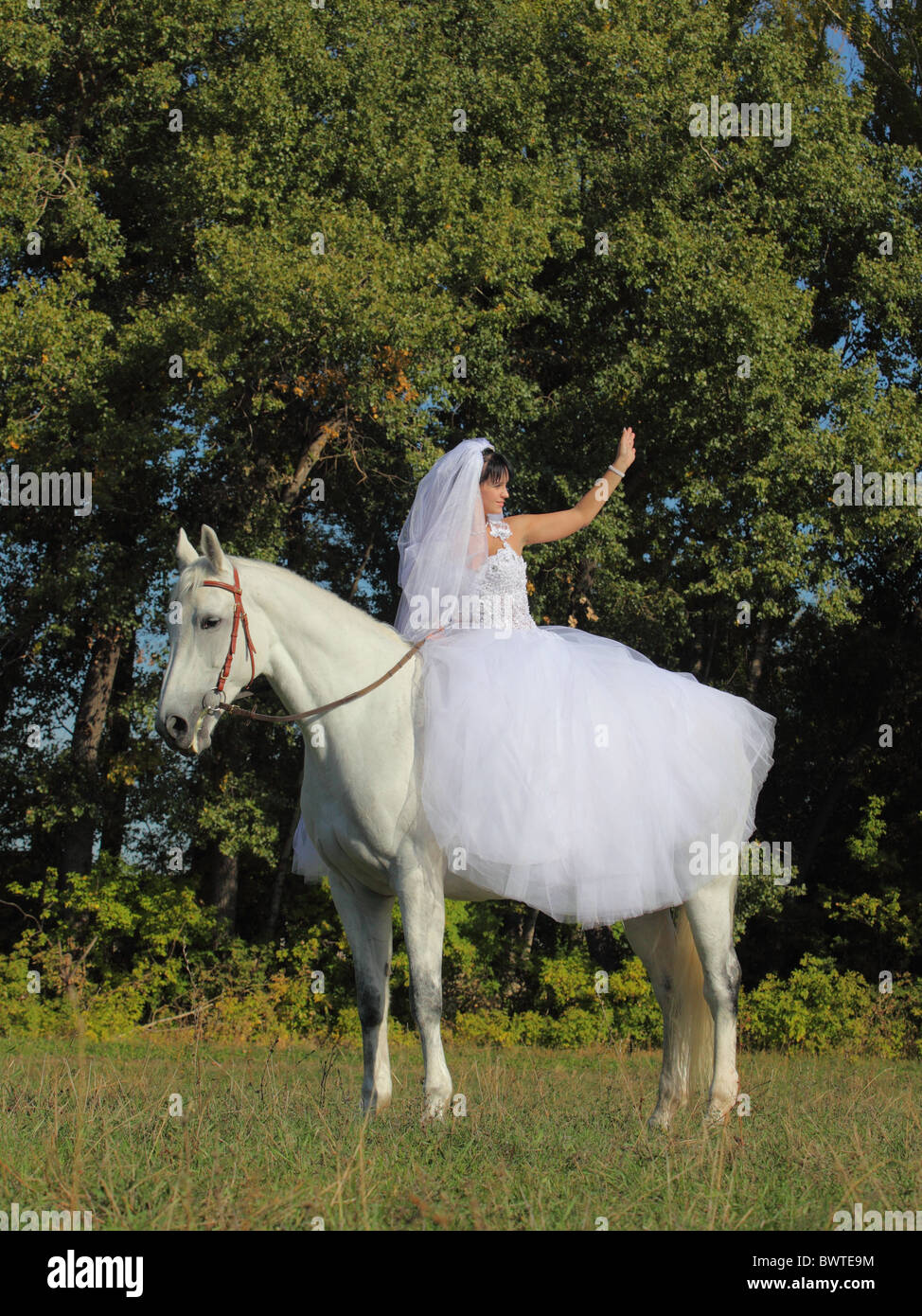 Bride in a wedding dress posing with horse Stock Photo - Alamy