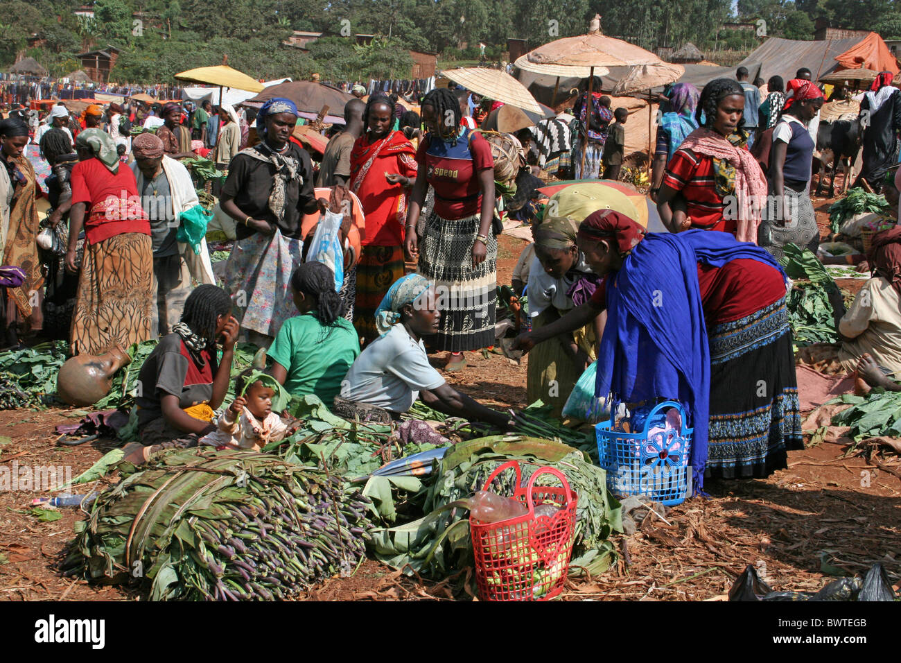 Typical Market Scene at Hagere Mariam, Southern Ethiopia Stock Photo ...