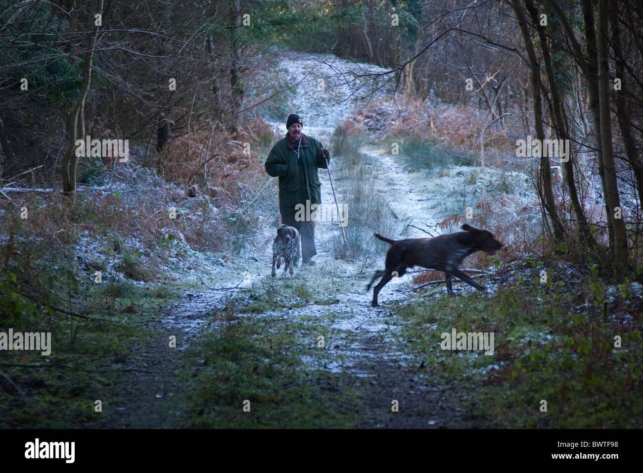 Winter scene german winter scene hi-res stock photography and images ...