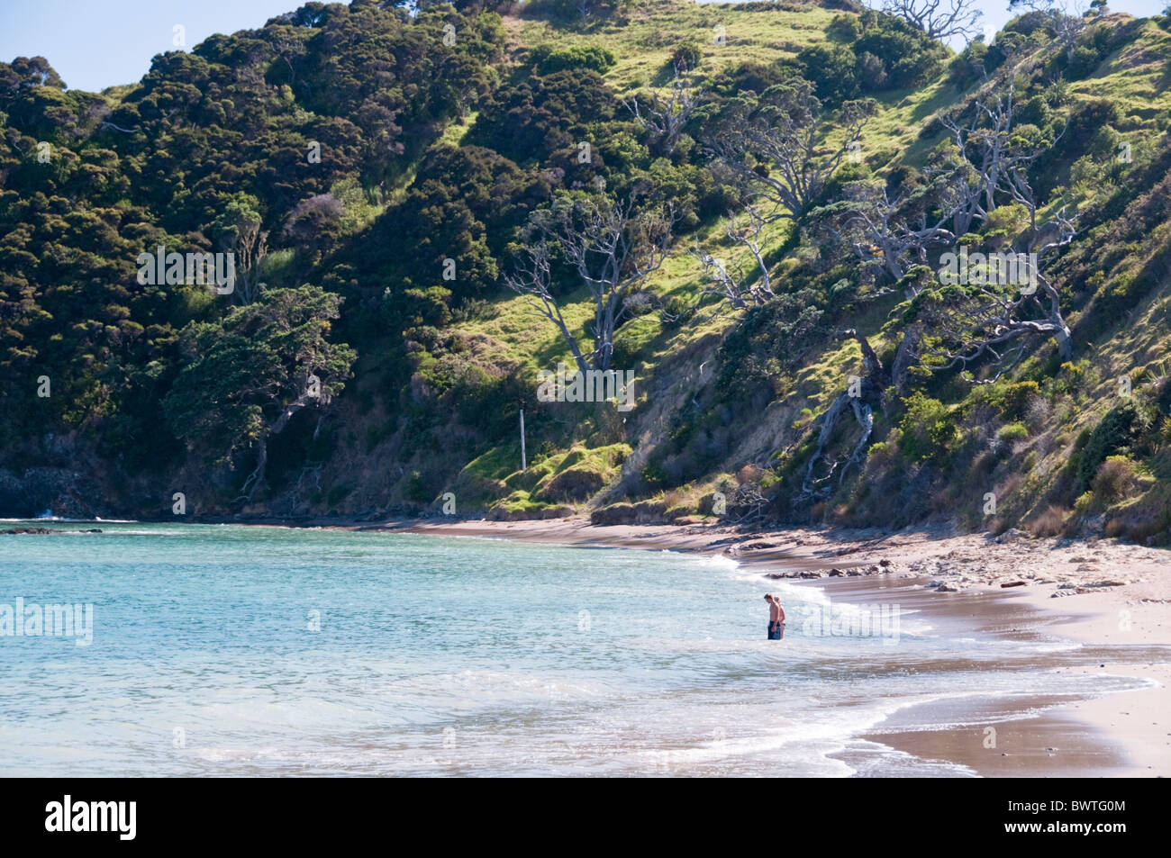 Russell,Tapeka Point,Maiki Hill, Lookout to Russell Harbour,Kororareka ...