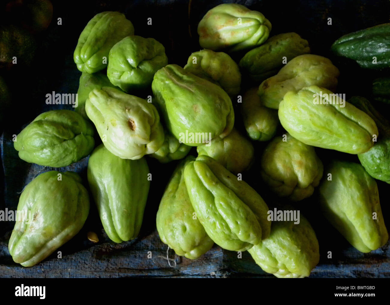 Chayote Sechium edule harvested fruit for sale Stock Photo - Alamy