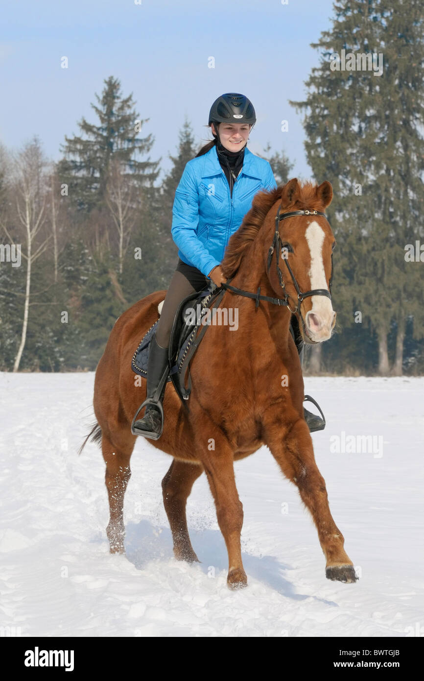 Young rider on back of a German pony galloping in snow Stock Photo - Alamy