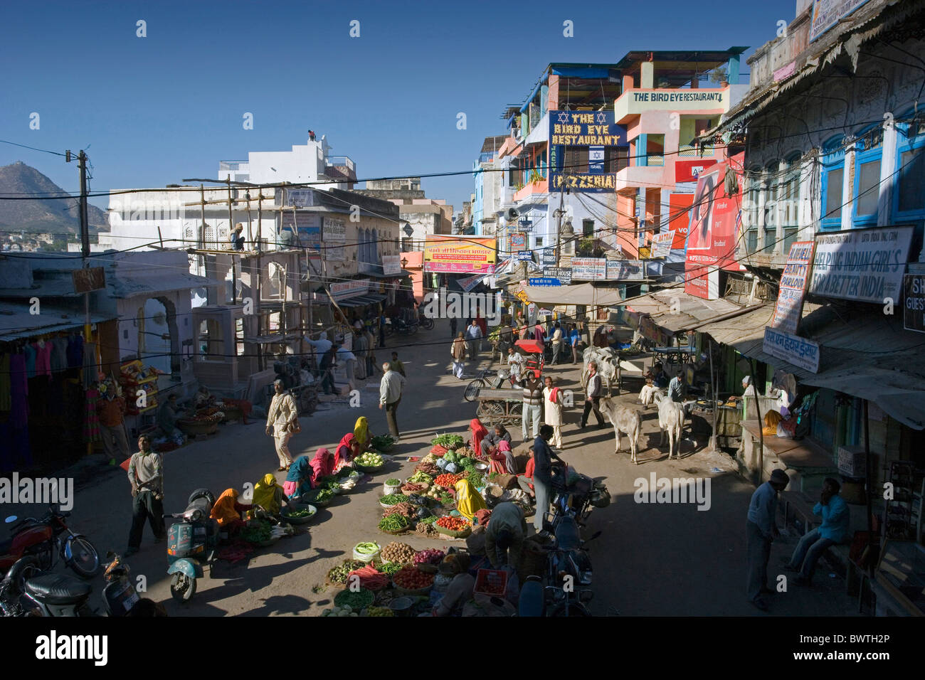 India rajasthan pushkar main street hi-res stock photography and images ...