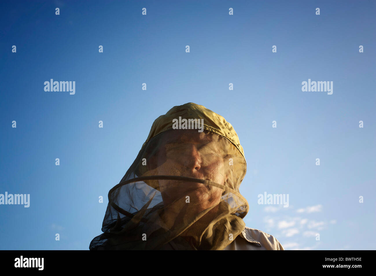 Crazy mosquitoes hi-res stock photography and images - Alamy