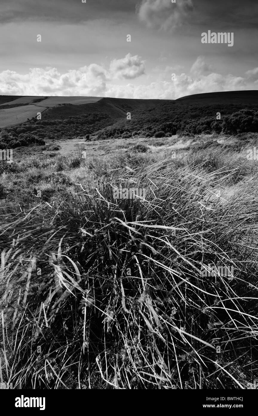 Porlock exmoor national park Black and White Stock Photos & Images - Alamy