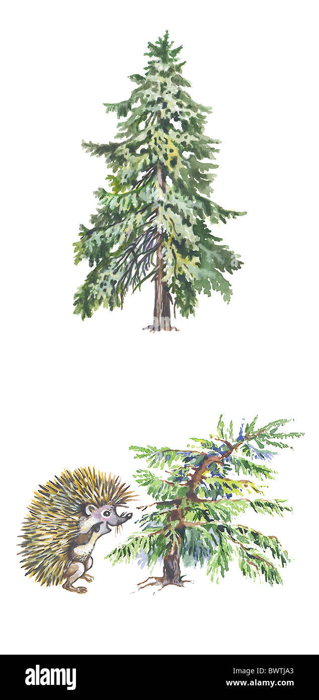 Fur-tree - the most joyful tree in the world Stock Photo - Alamy