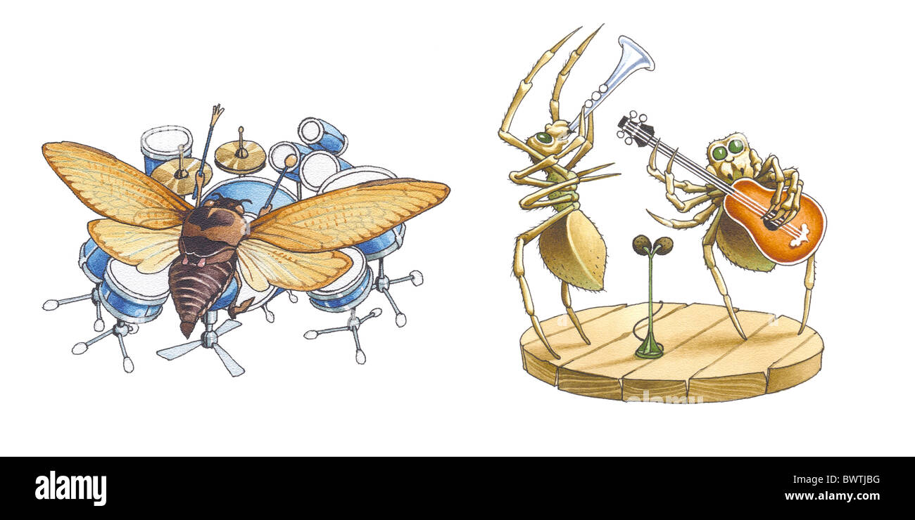 Bug rock drums blows trumpet guitar admirer hi-res stock photography ...