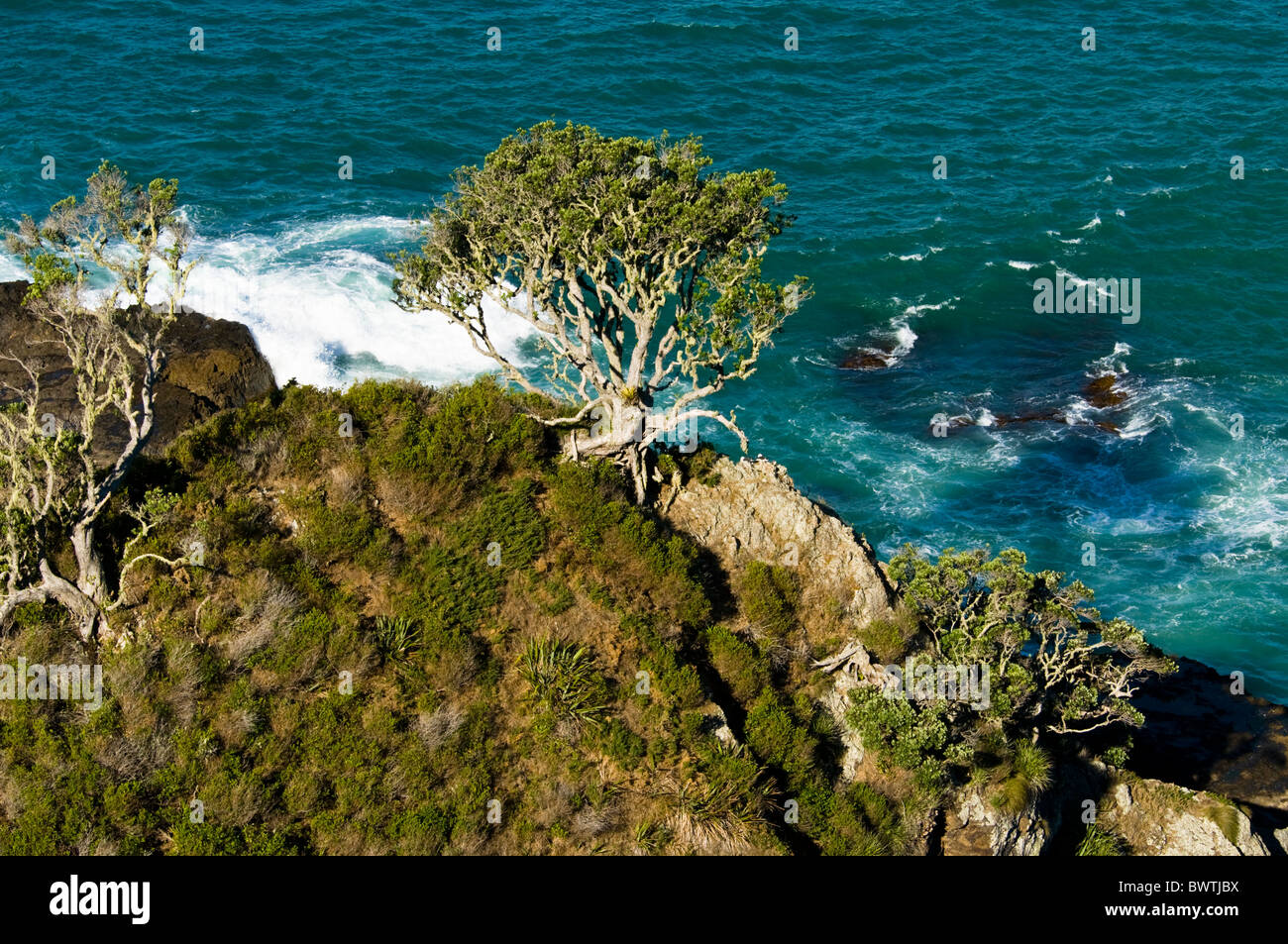 Russell,Tapeka Point,Maiki Hill, Lookout to Russell Harbour,Kororareka ...