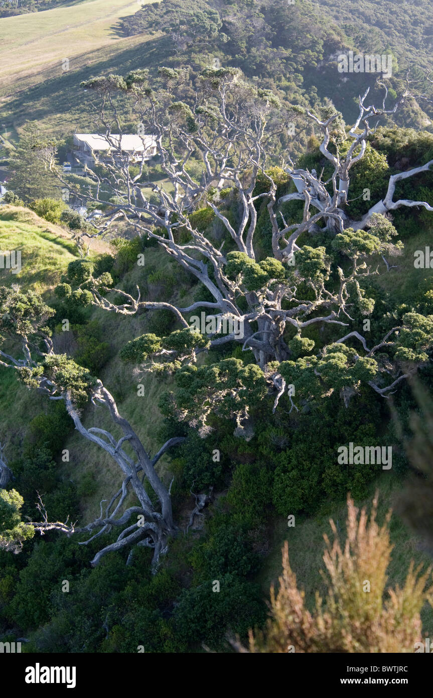 Russell,Tapeka Point,Maiki Hill, Lookout to Russell Harbour,Kororareka ...
